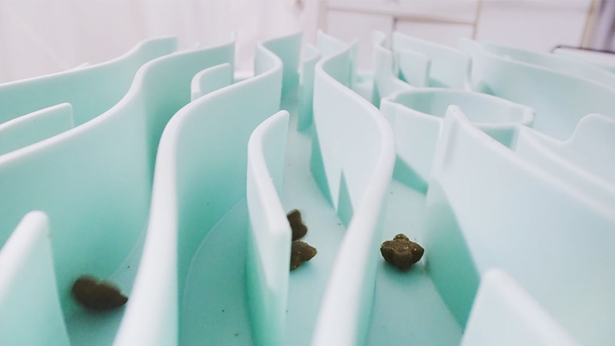 Slow Feeder | Dog Feeder-PuzzleFeeder™ - Slower than a slow feeder